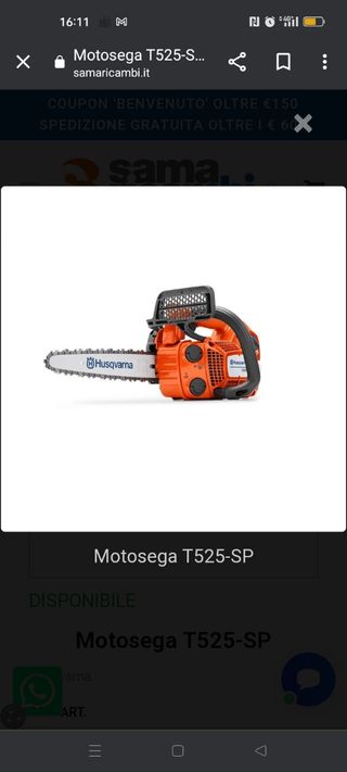 Motosega