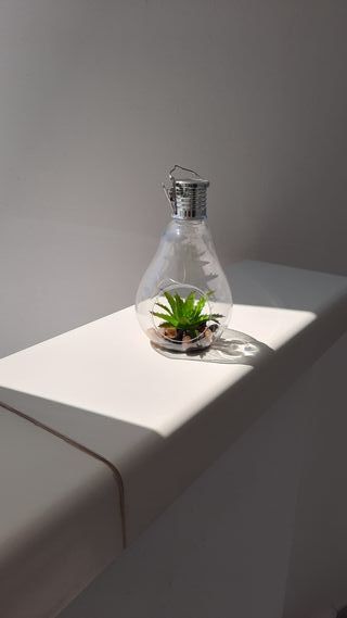 Luce ad energia solare