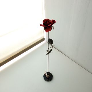 LA ROSA DEL GIARDINO PROIBITO /FIORI DI LATTA