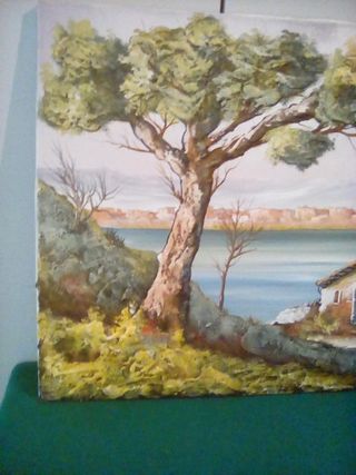 Dipinto olio su tela 50x70 in cornice con vetro.