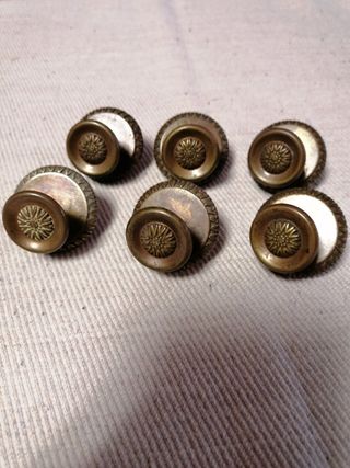 Pomelli