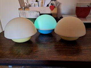 Lampade fungo colorate 🍄