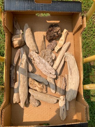 Elementi decorativi terrario