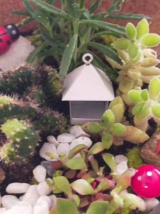 La casetta nel bosco