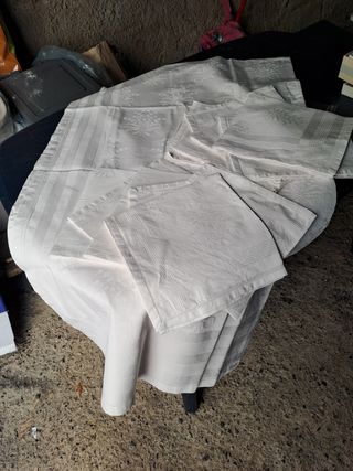 Tovaglia + 12 tovaglioli