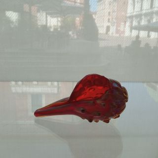 1 CONCHIGLIA SEGUSO ROSSA