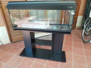 Acquario acqua dolce 100 litri