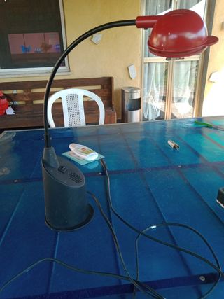 Lampada da scrivania