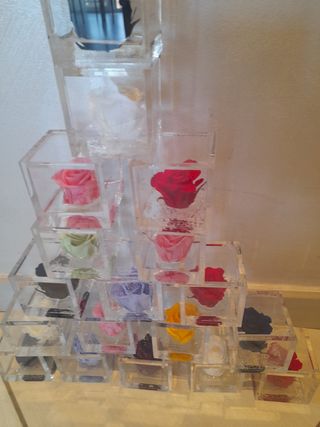Rose stabilizzate flower cube
