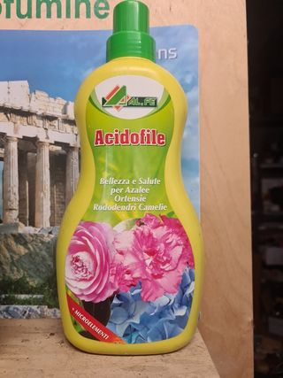 Concime piante acidofile 1 kg