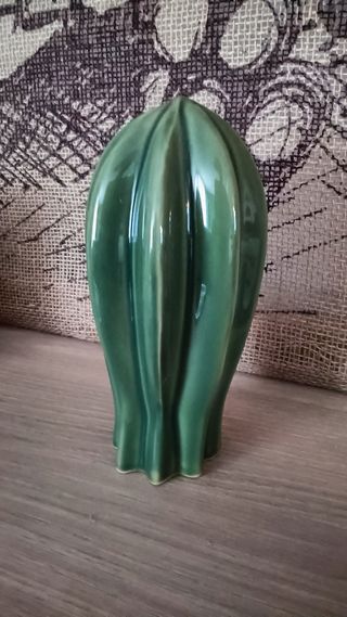 vaso cactus
