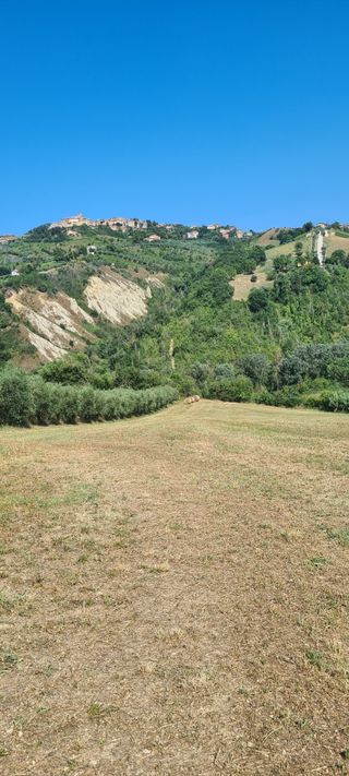 Fieno medica rotoli Castorano