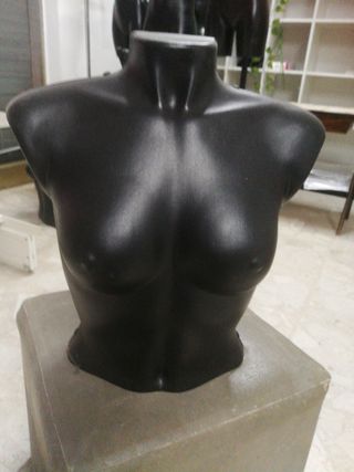 Manichini