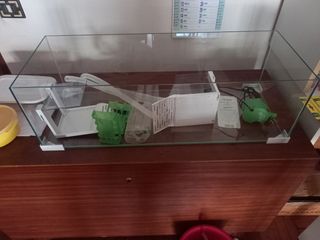 acquario per tartarughe