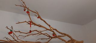 Ramo secco decorativo