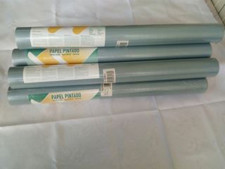 Carta da parati lavabile celeste