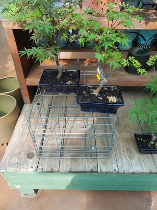 Cestelli  in ferro vintage