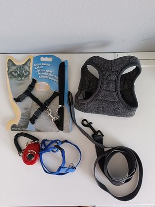 Set pettorine guinzaglio piccoli animali