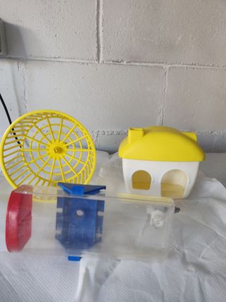 Accessori per criceti