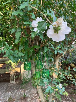 Set lanterne verde bosco