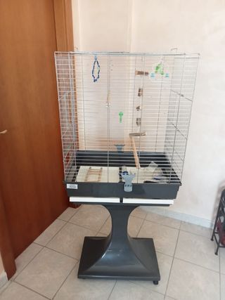 Gabbia per uccelli