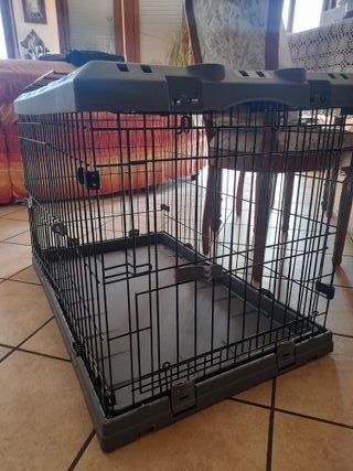 Gabbietta, Cuccetta per cani