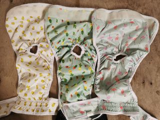 Pannolini lavabili per cani