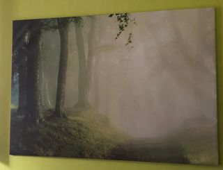 Canvas Quadro con foresta mis. 200x140