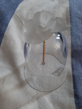 Campanella cristallo