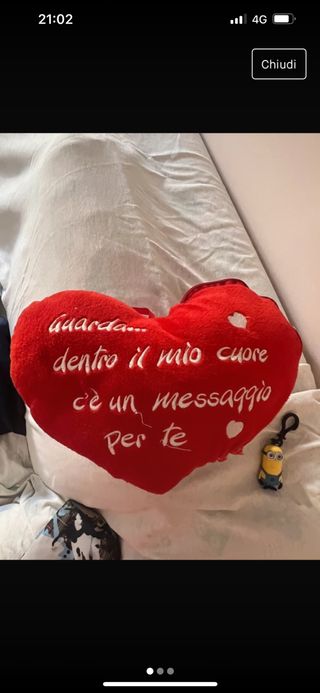 cusicno a forma di cuore