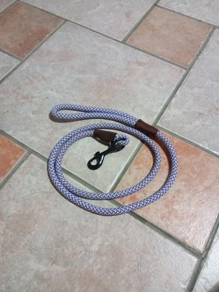 Guinzaglio per cani