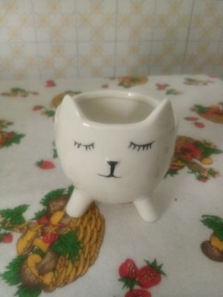 Gattino porta vasetto