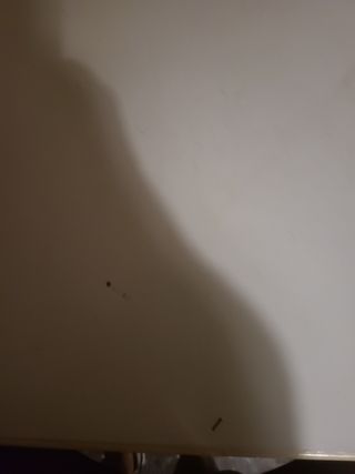 Scrivania più cassettiera