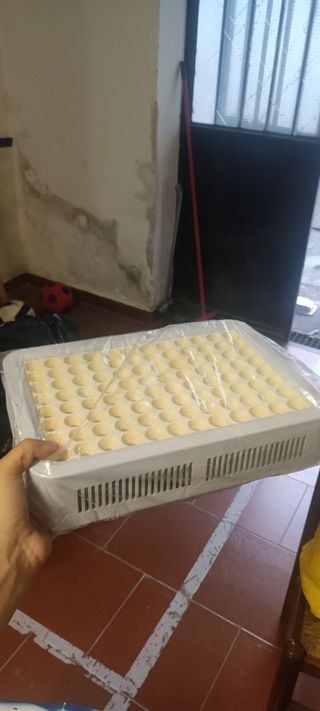 Led grow light