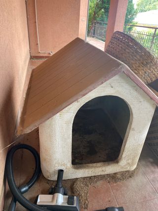 CUCCIA PER CANI ANCHE DI TAGLIA GRANDE