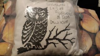 Cuscino fantasy gufo