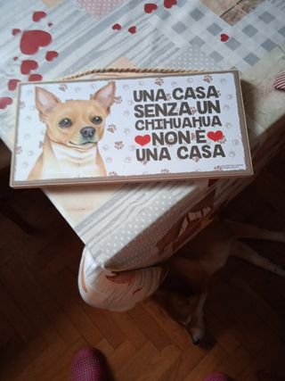 Targa di legno con chihuahua