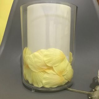 Lampada petali di Maiuguali