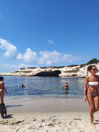 Vetrinetta Frigo 00