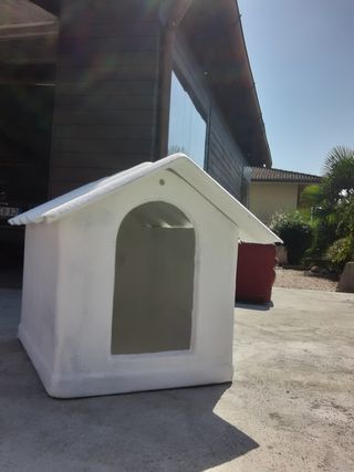 Casetta Dog