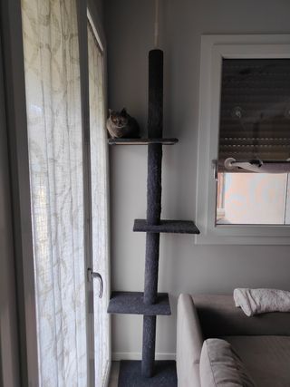 Pawhut - Tiragraffi per gatti