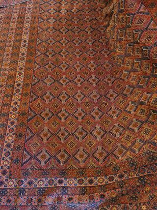 Tappeti orientali annodati a mano con certificato