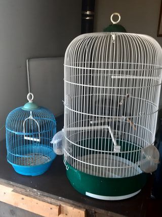 Gabbie per uccellini