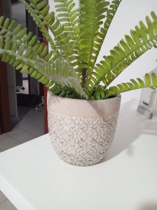 Vado in terracotta decorato con piantina