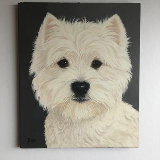 quadretto con white terrier