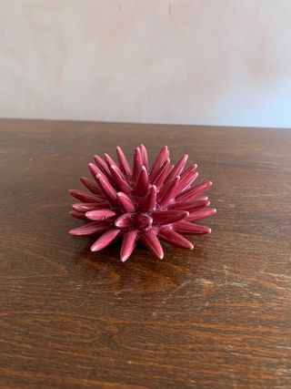 Riccio di mare in ceramica rossa