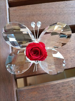 Farfalla con rosa rossa vera stabilizzata