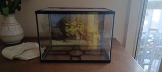 Acquario 20L + Filtro