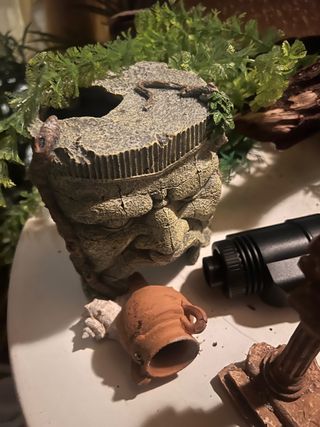 Arredamento per acquario piante legno