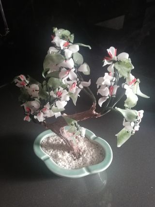 Albero bonsai vetro